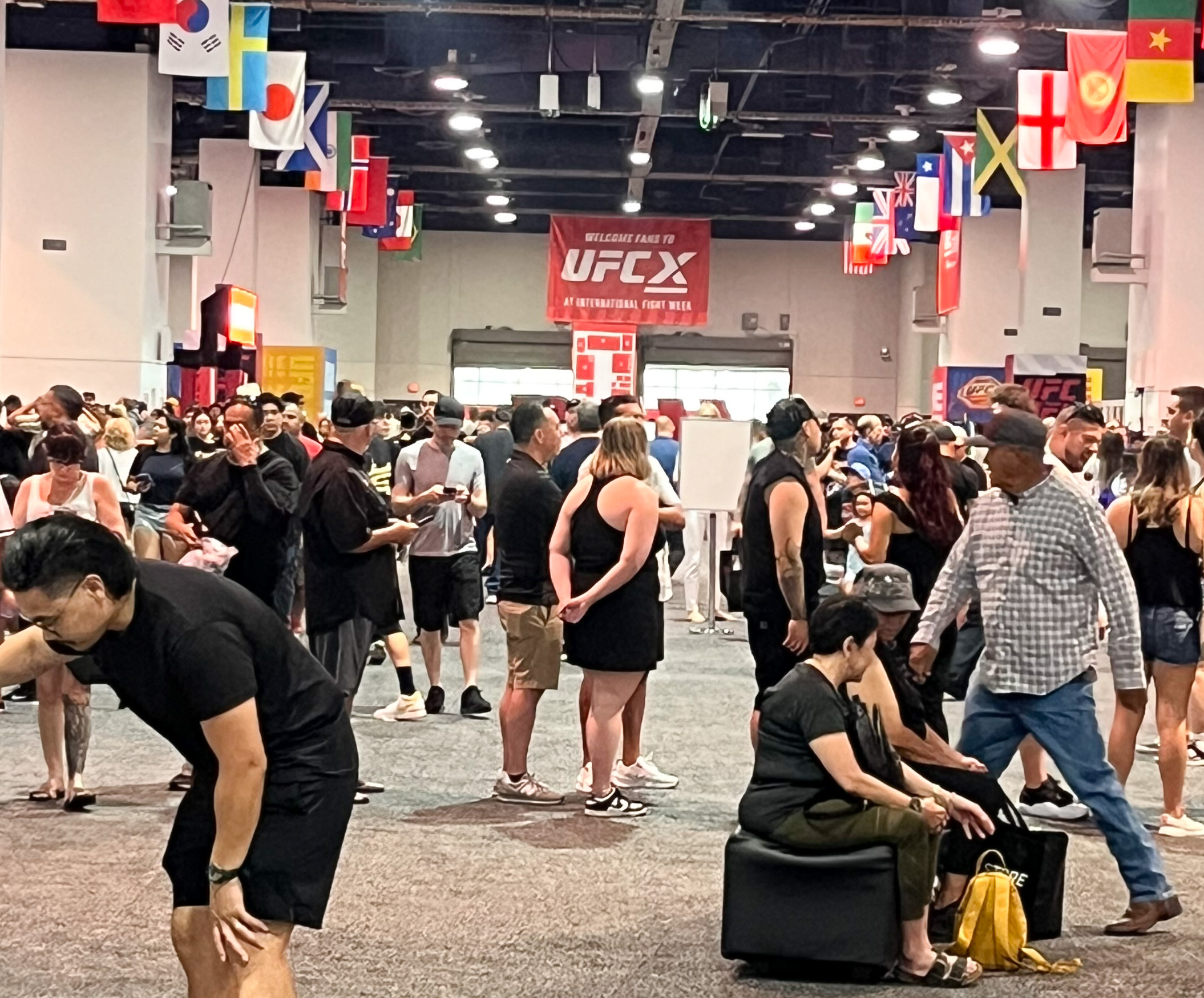 Exploring UFC International Fight Week 2024: Fan Experience and Hall of ...